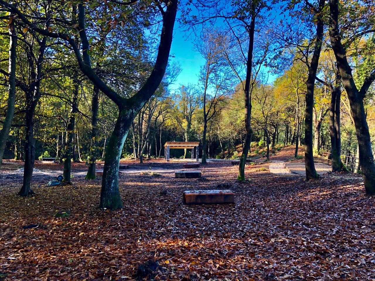 PARCO RIO PONTICELLI E DELLE MINIERE | Comune di Besano